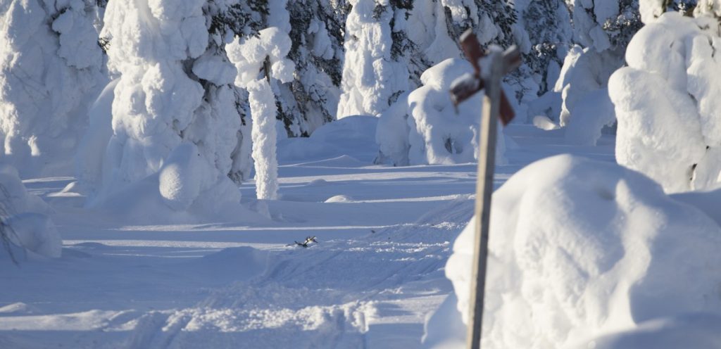 Lappilainen Kelkkalehti; MOKEMA-Moottorikelkkailun kehittämishanke ...