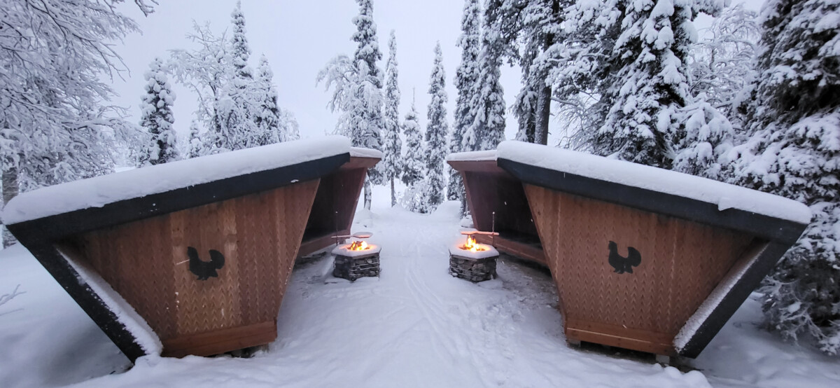 Sallan kansallispuisto 1-vuotias - Lappilainen